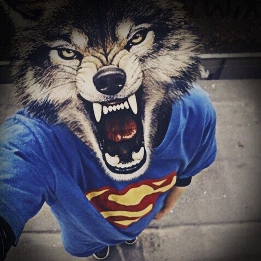 Hard_ WOLF - YouTube