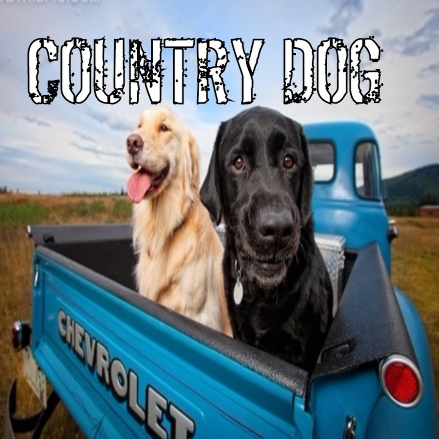 country DOG - YouTube