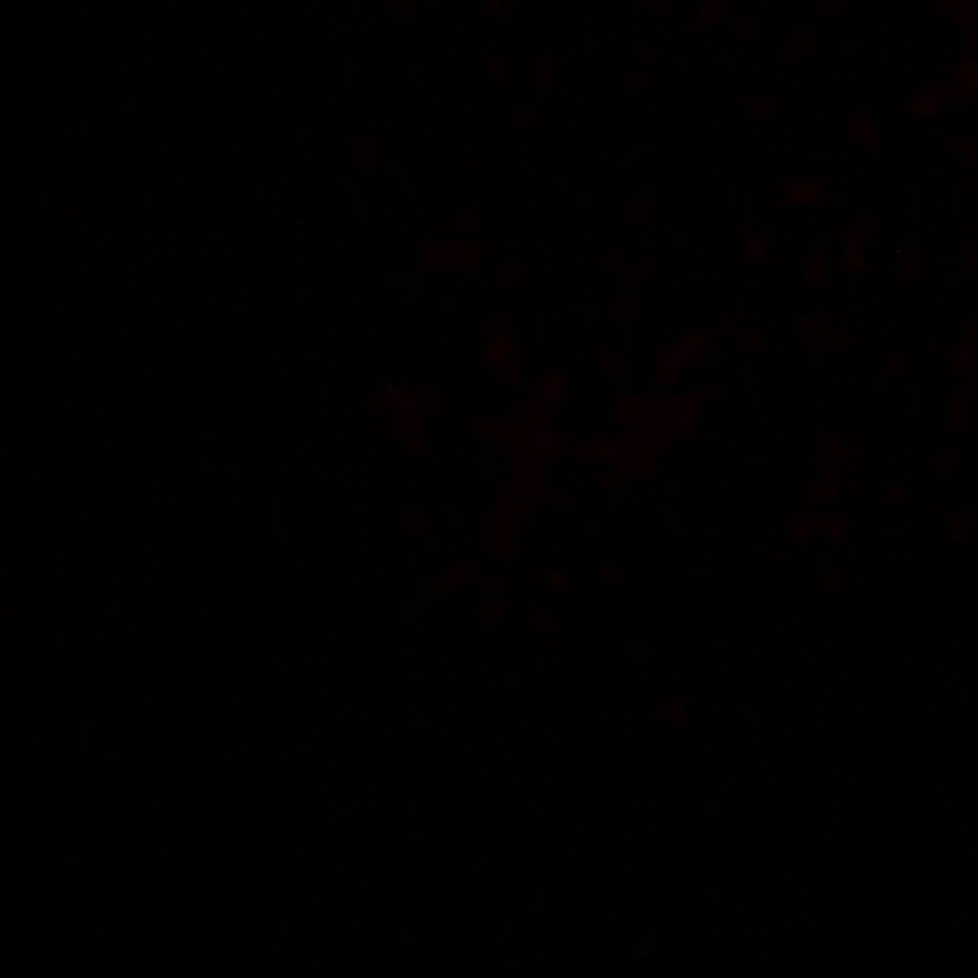 Lauren Tiller - YouTube