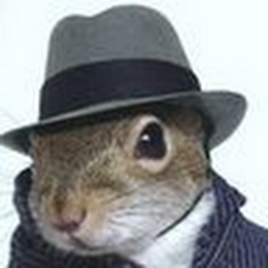 Mysterious Squirrel - YouTube