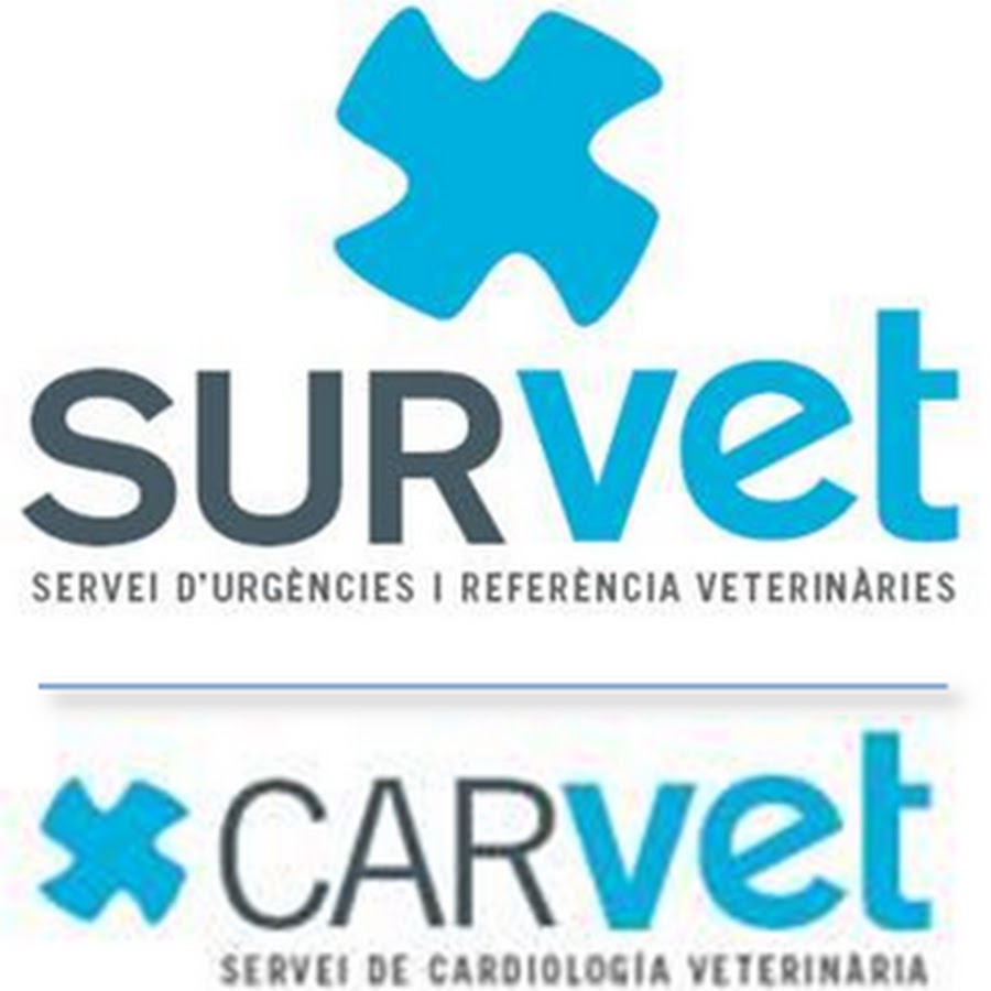 CARVET SURVET - YouTube