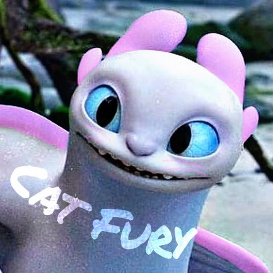 Cat Fury - YouTube
