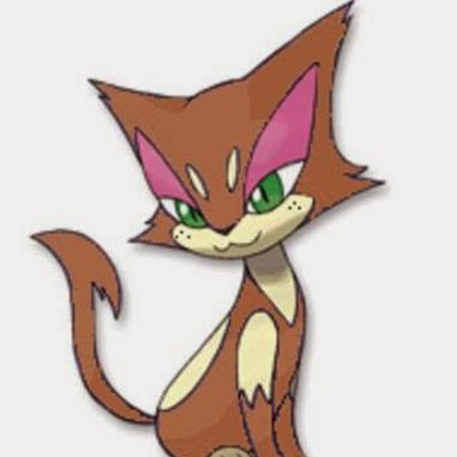 Kira the Cat - YouTube