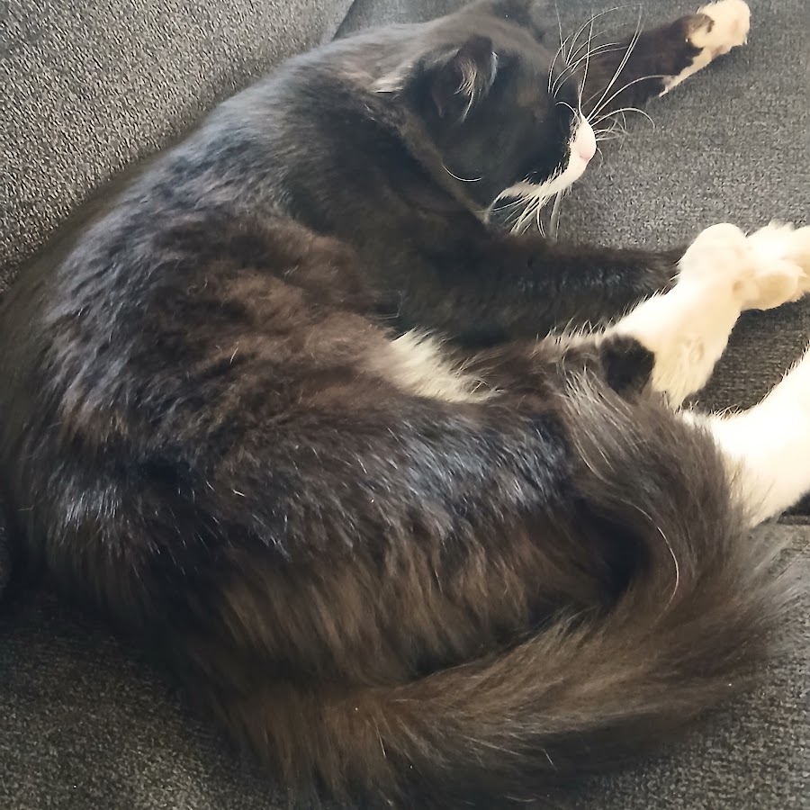 Nova Nation - YouTube