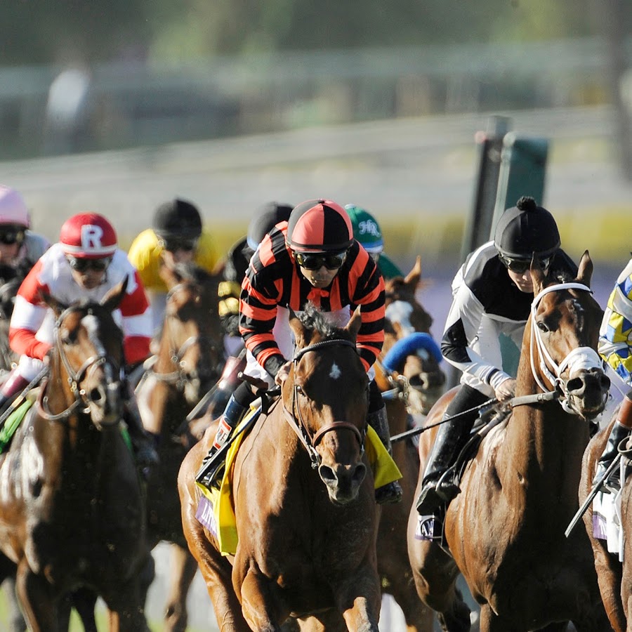 TVG Network - YouTube