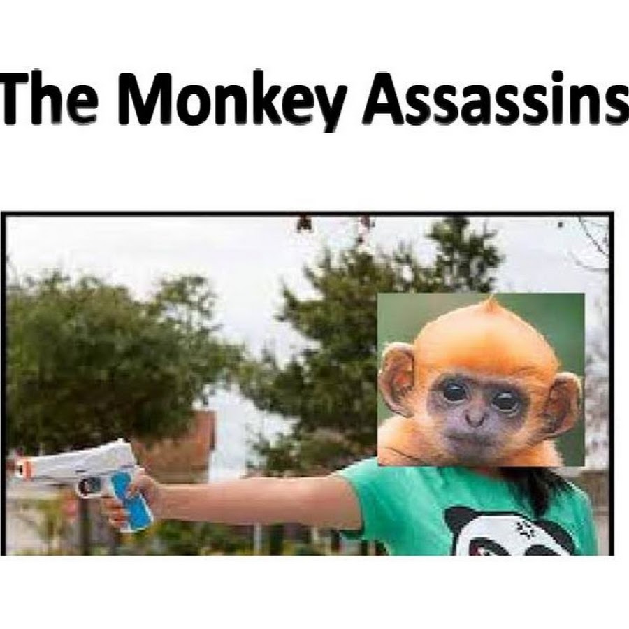 Monkey Assassins - YouTube