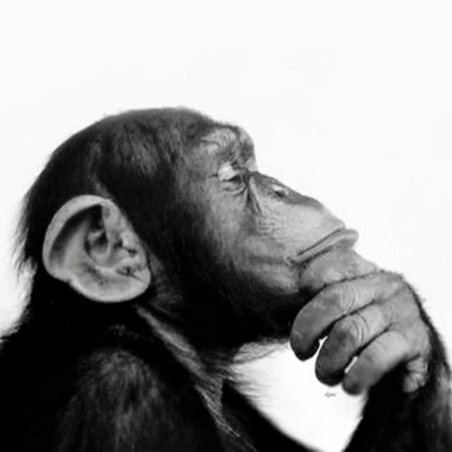 EL ARTE DE FILOSOFAR - YouTube