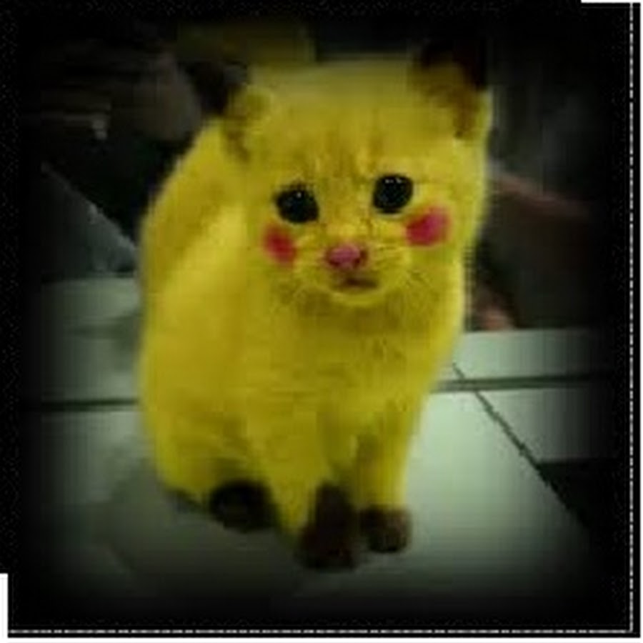 Pikachu Cat The new animatronic - YouTube