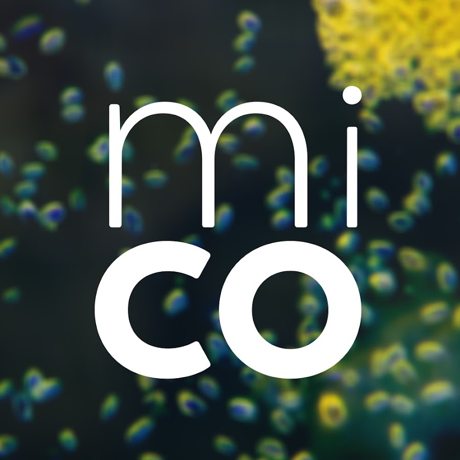 Journey to the Microcosmos - YouTube