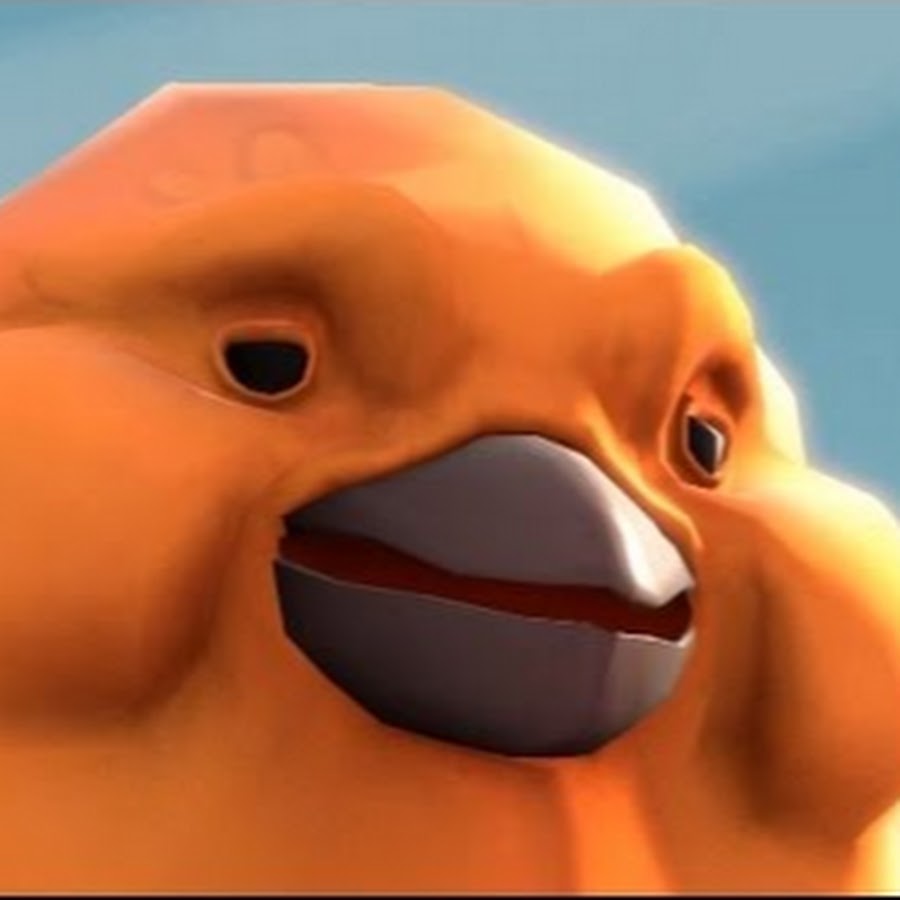 Pootis Bird - YouTube