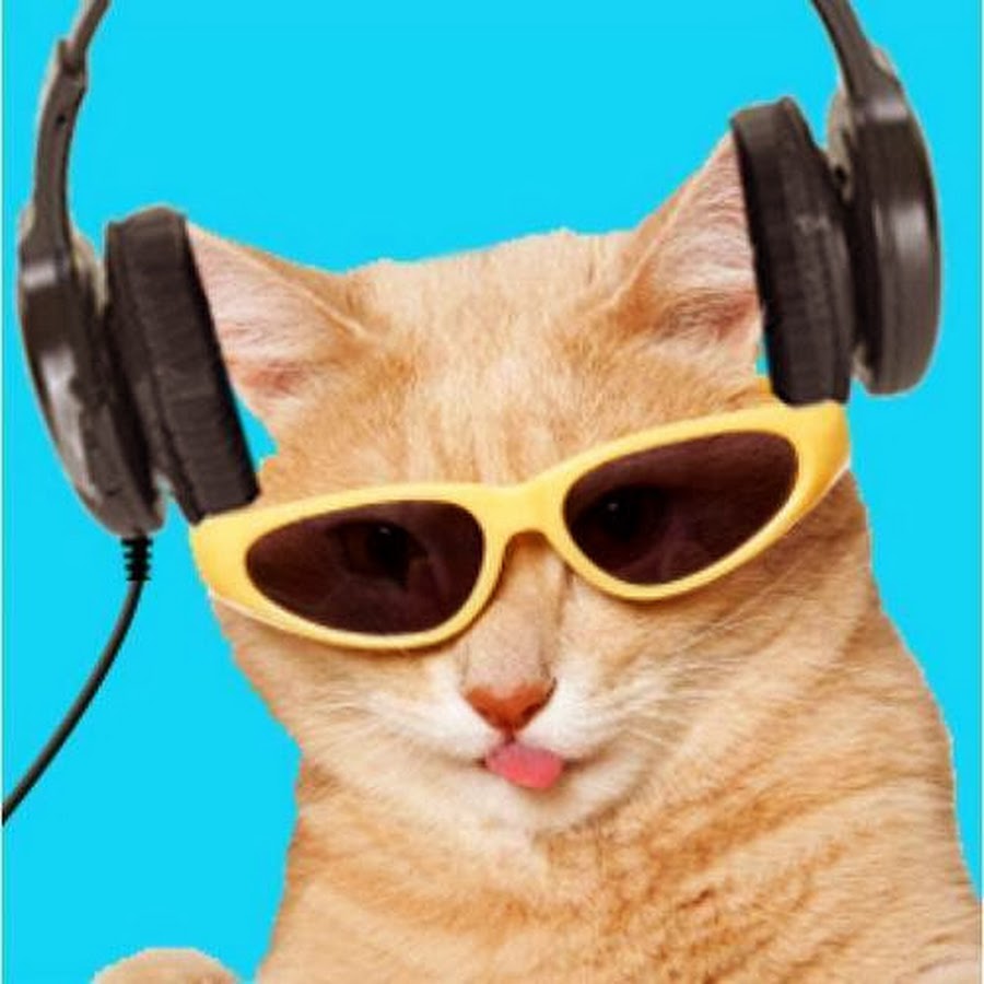 Talking Animals - YouTube