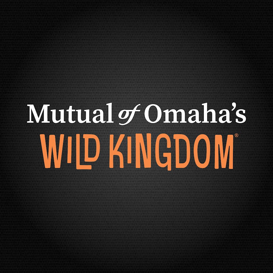 Mutual of Omaha's Wild Kingdom - YouTube