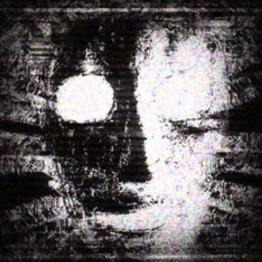 SCP Diaries - YouTube