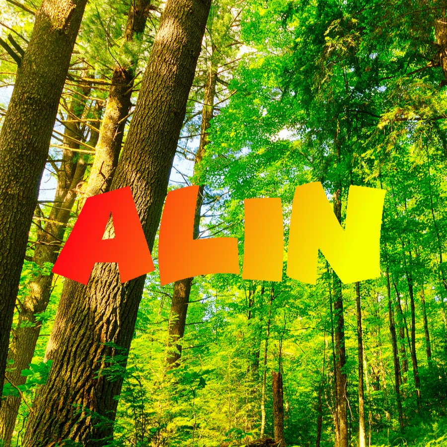Alin - YouTube