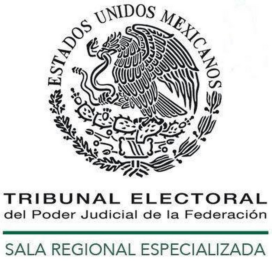TEPJF Sala Regional Especializada - YouTube