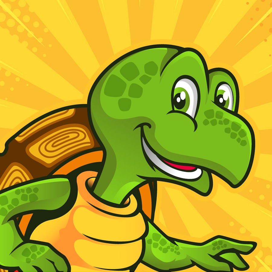 Savvy Turtle - YouTube