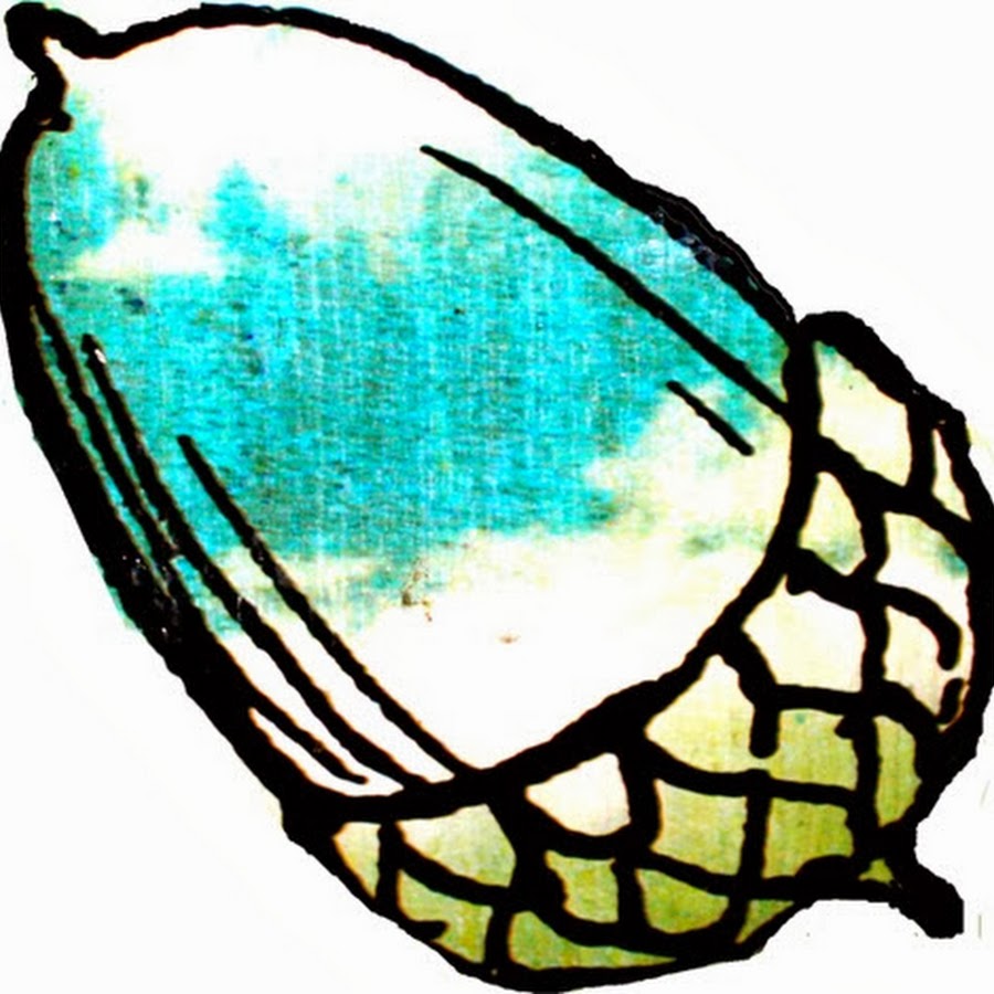 Acorn Animations - YouTube