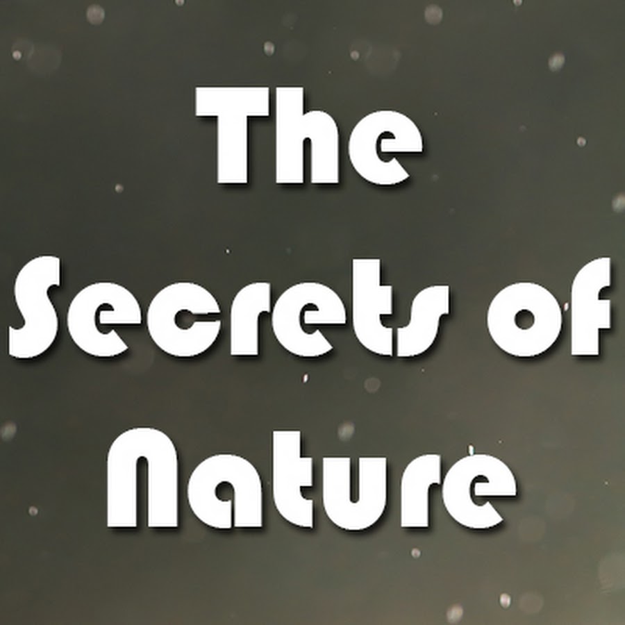 The Secrets of Nature - YouTube