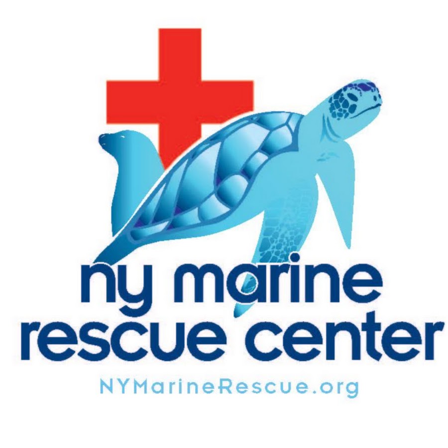 NY Marine Rescue Center - YouTube