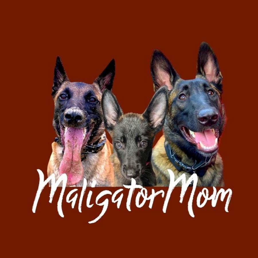 Maligator Mom - YouTube