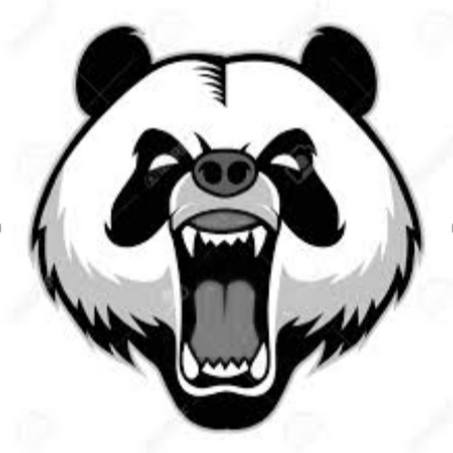YouTube Panda - YouTube