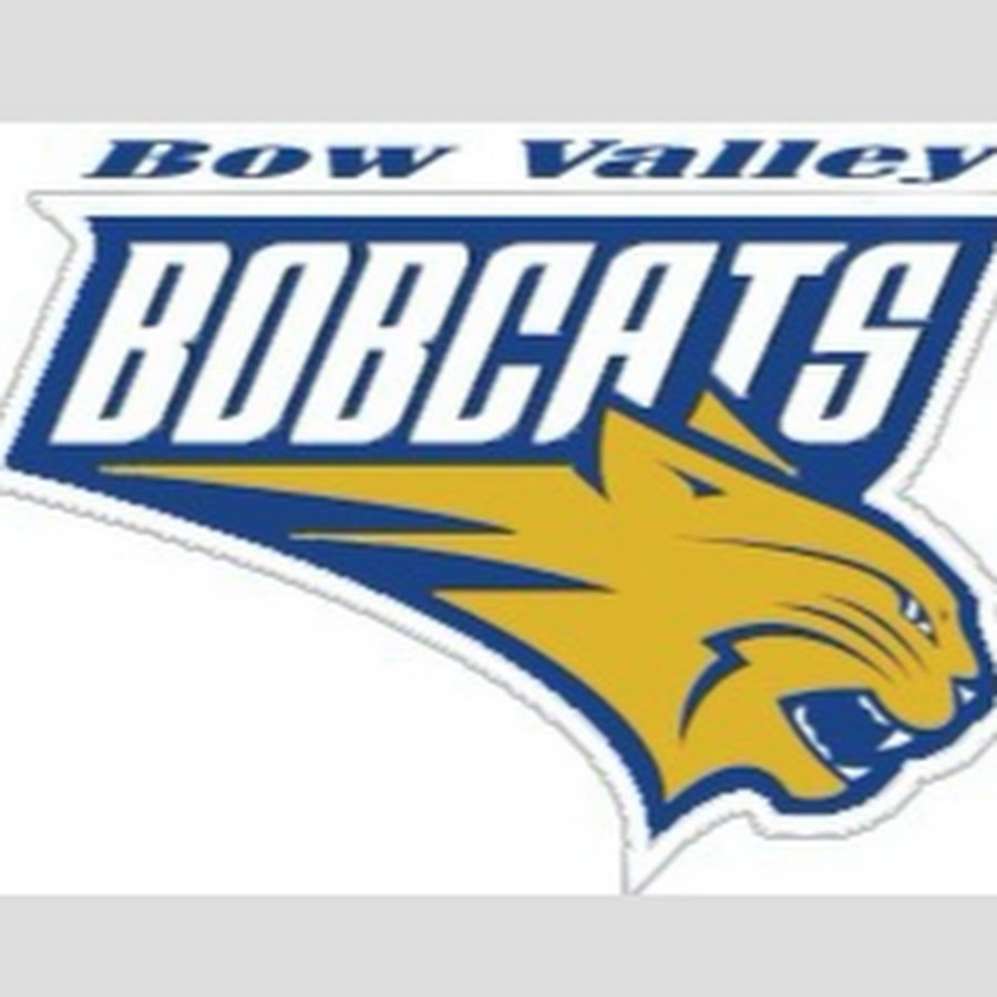 Bobcats Basketball - YouTube