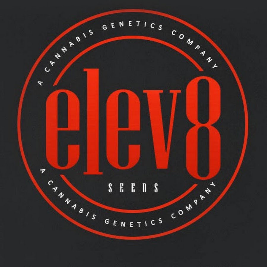 ELEV8 SEEDS - YouTube