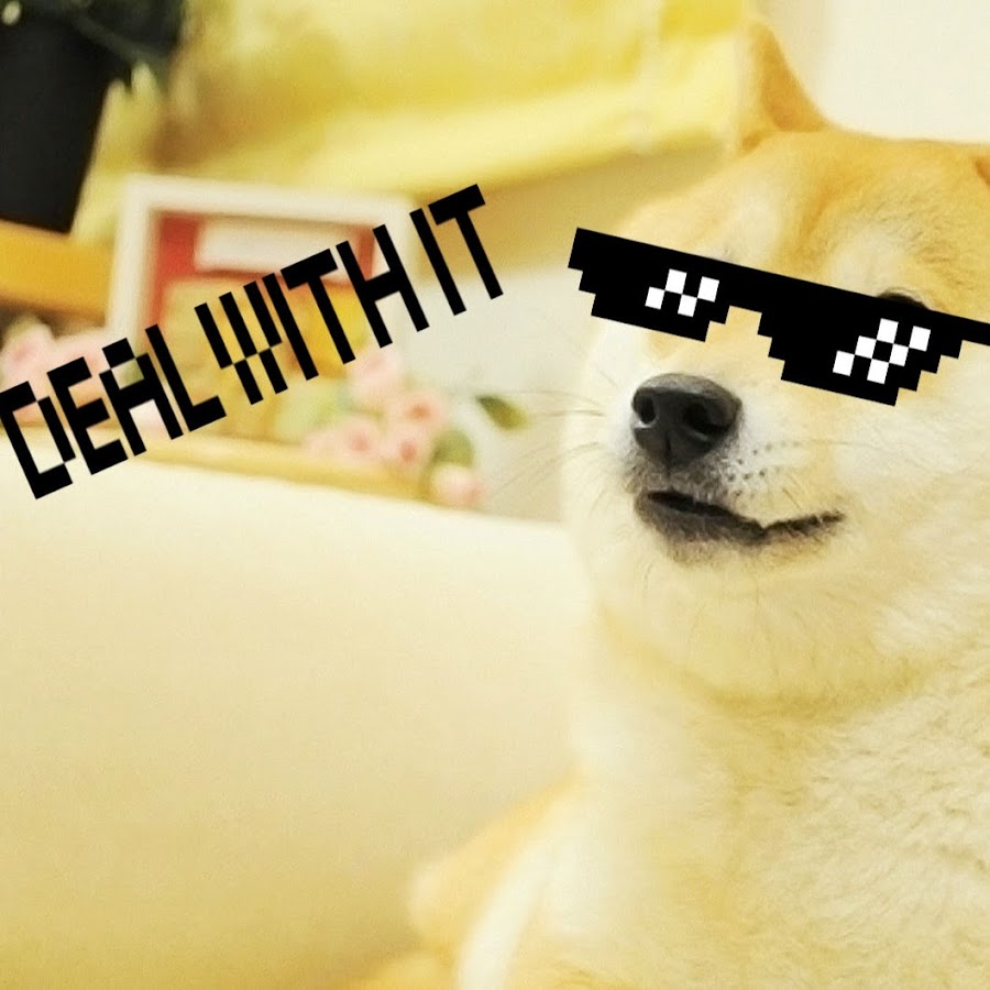 doge games - YouTube
