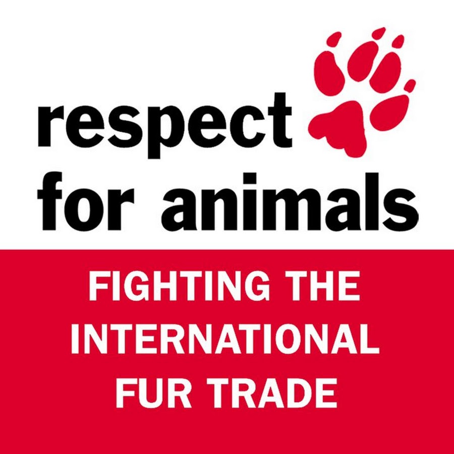 Respect for Animals - YouTube
