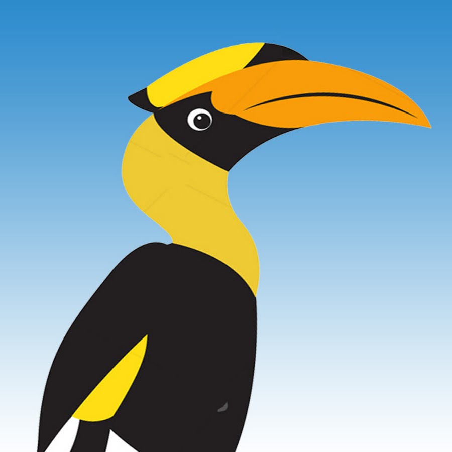 Vakok Daily - YouTube