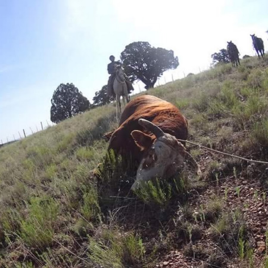 Apache Cowboy - YouTube