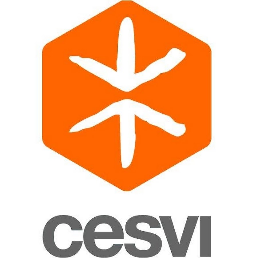 Cesvi onlus - YouTube