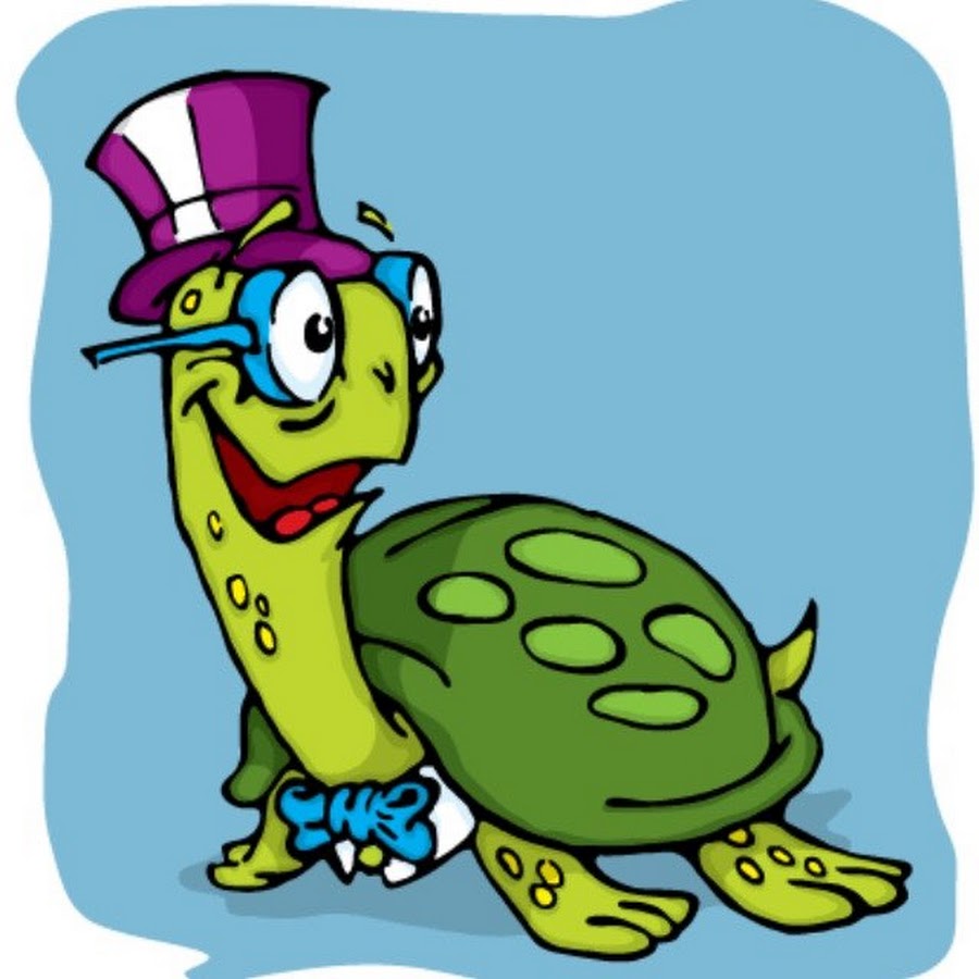 Mr Turtle - YouTube