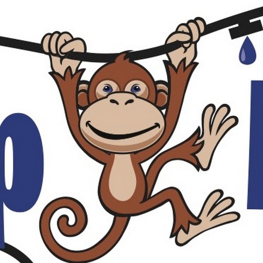 tony drip monkey - YouTube