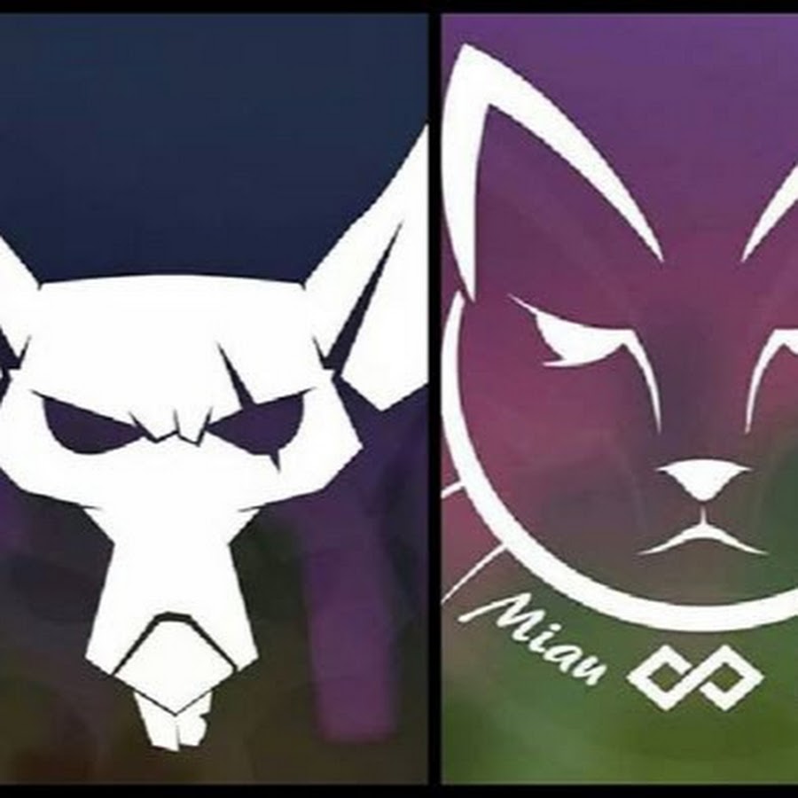 Fan Pisica MiauMiau si Max Infinite - YouTube