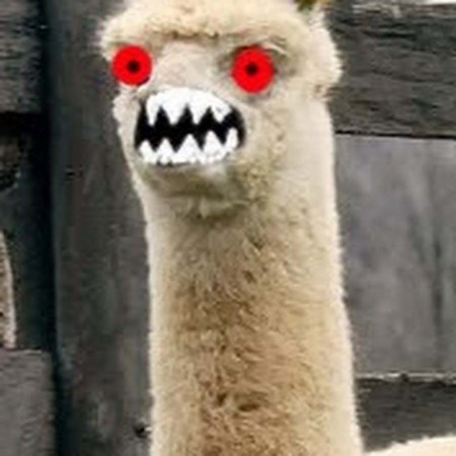 Happy Llama - YouTube