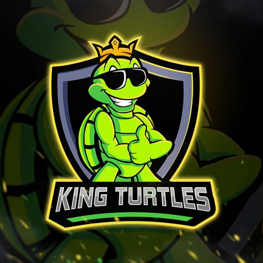 King Turtles - YouTube