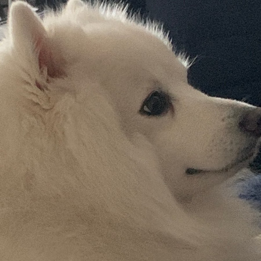 fghfghfghgh fghfghfg - YouTube