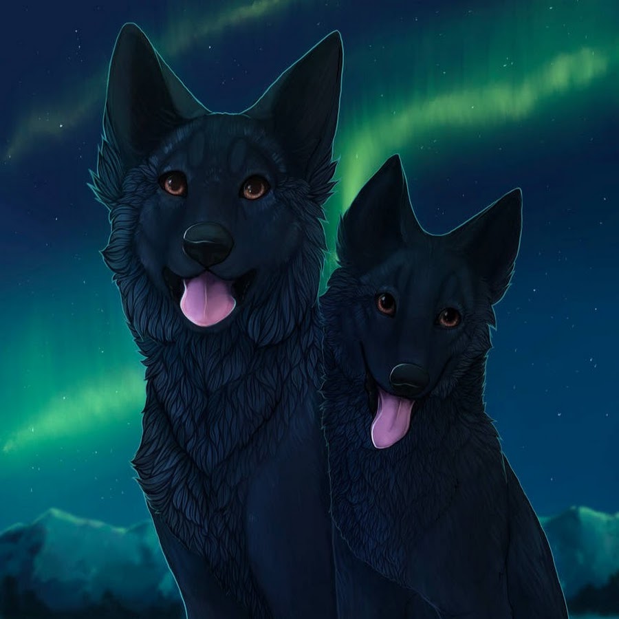 Ozzy The Service Dog - YouTube