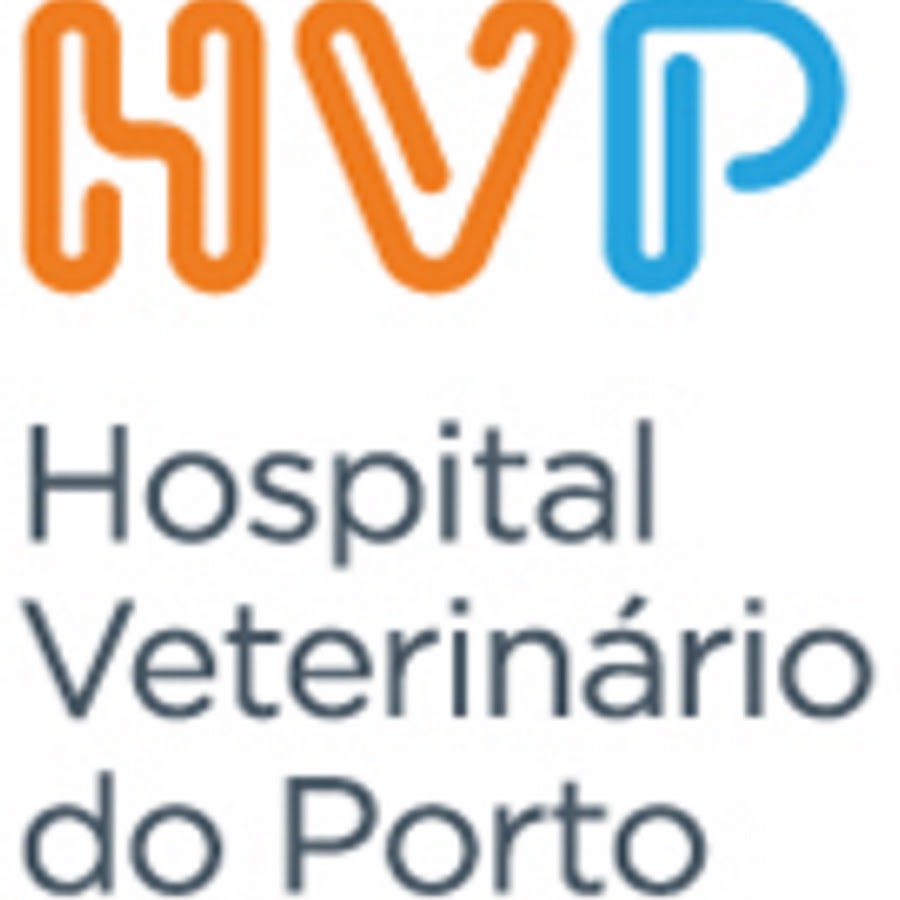 Hospital Veterinário do Porto HVP - YouTube