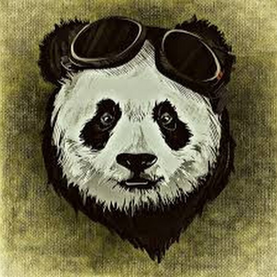 Panda Gamer - YouTube
