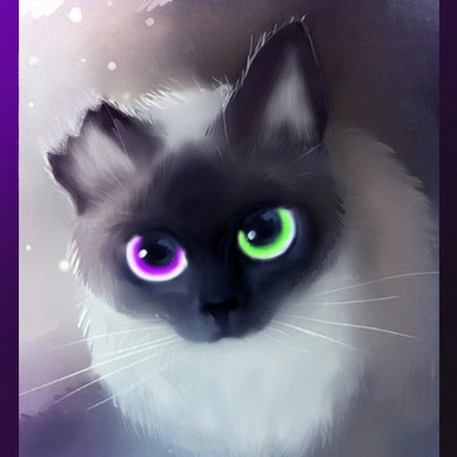 《nami cat》 - YouTube