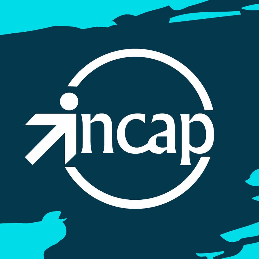 INCAP - Bogotá - YouTube