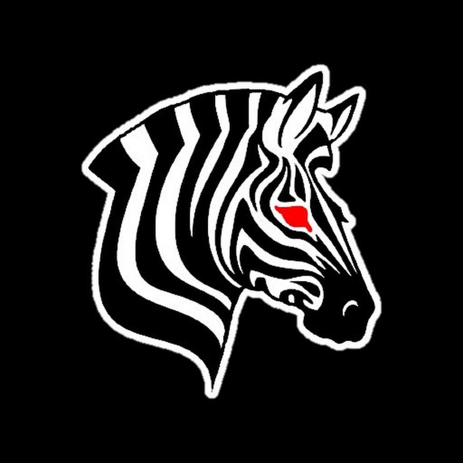 evil zebra - YouTube