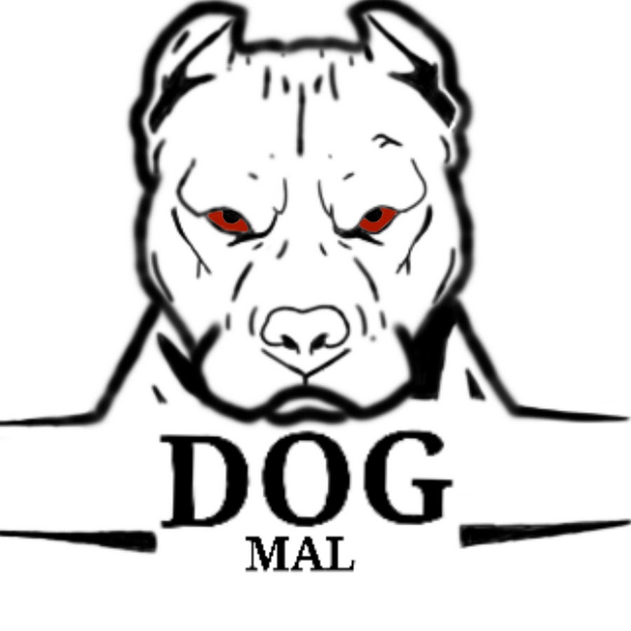 DOG_ MAL - YouTube