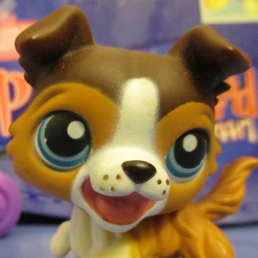 Funny Sunny LPS - YouTube