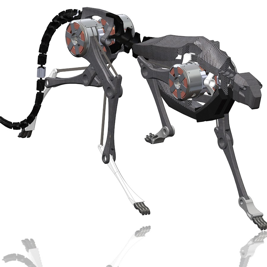 Biomimetics MIT - YouTube