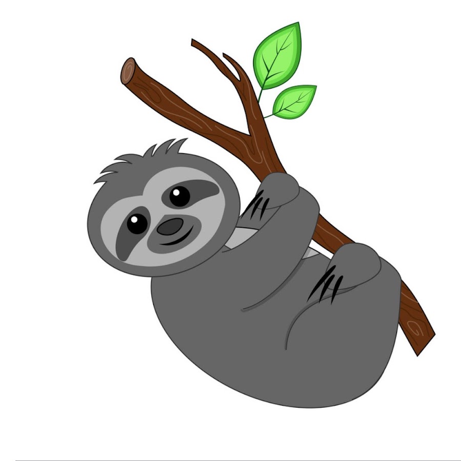 Avocado Sloth - YouTube