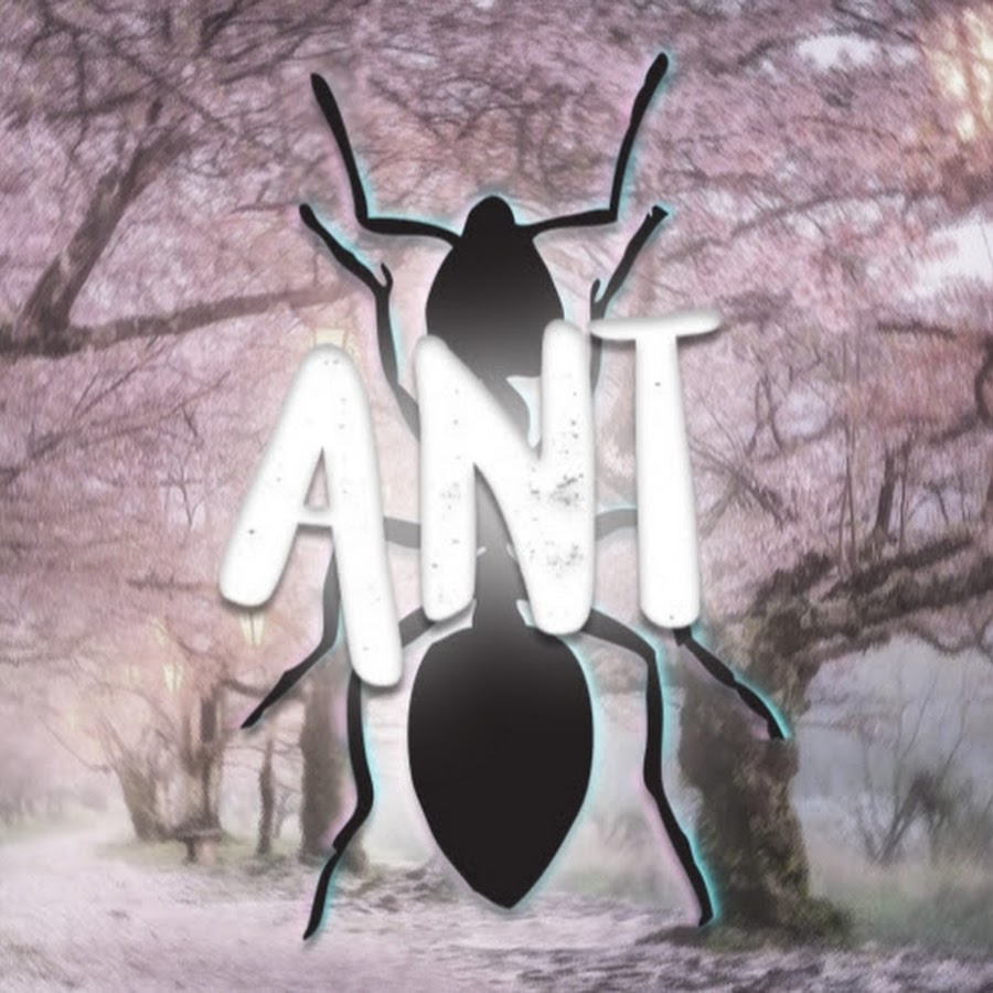 Ant - YouTube
