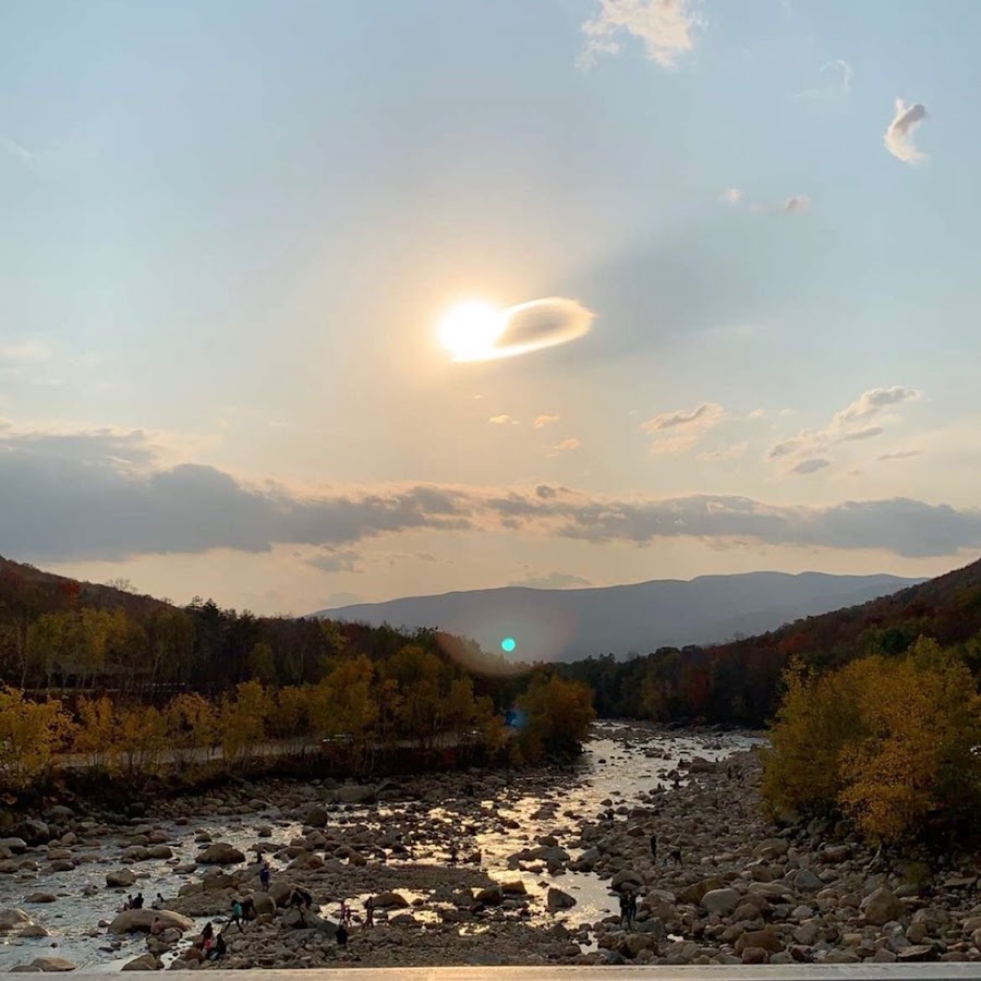 Cat Nguyen - YouTube